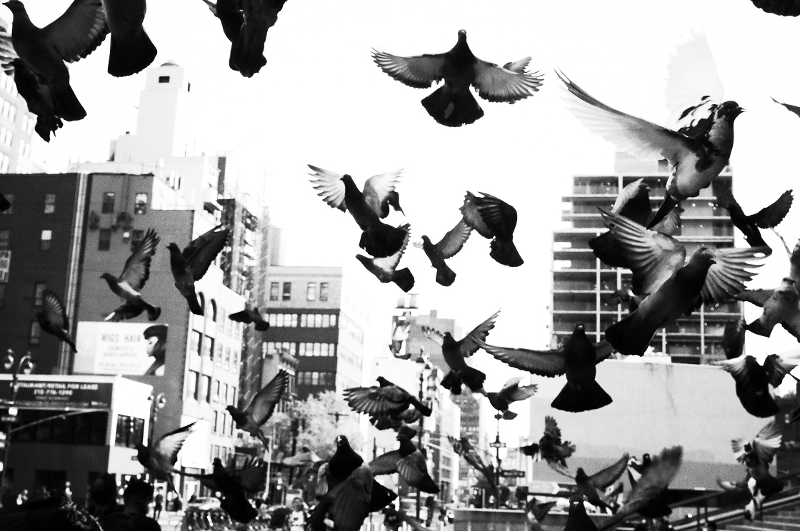 【GRist】Vol.63 Kyosuke Hamao | GR official | RICOH official community site