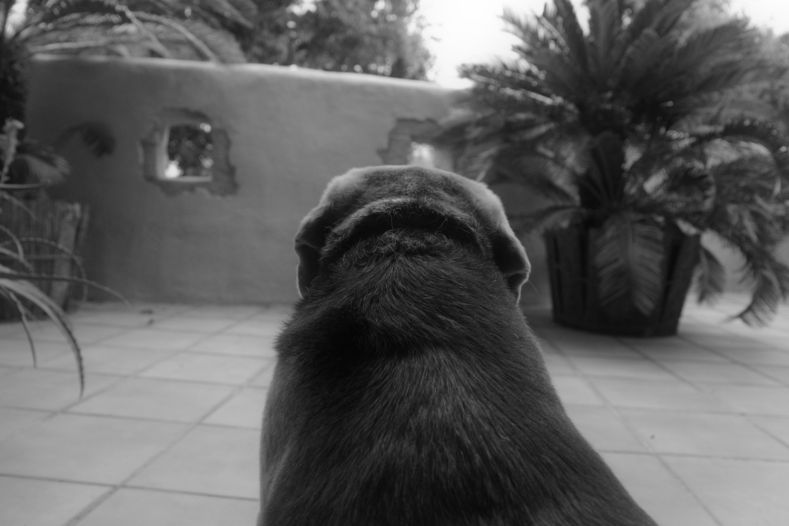 【SPECIAL】 Masataka Matsutoya “73-Year-Old Beginner” | GR official ...