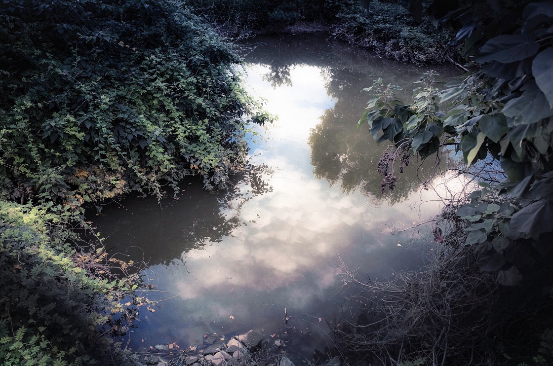 GRist | GR official | RICOH official community site