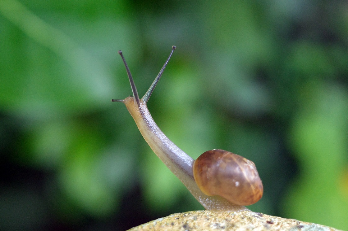 GRist | GR official | RICOH official community site