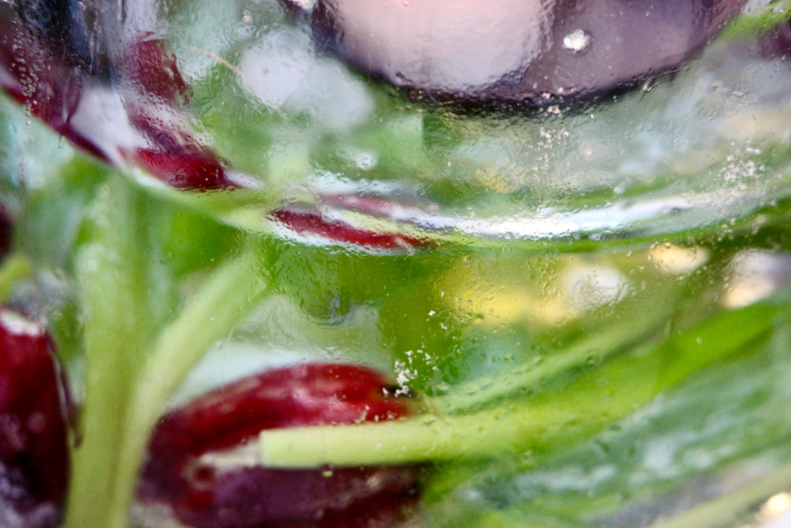 GRist | GR official | RICOH official community site