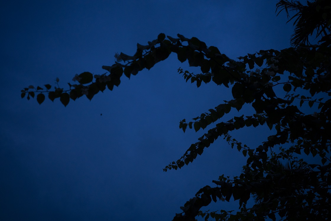 GRist | GR official | RICOH official community site